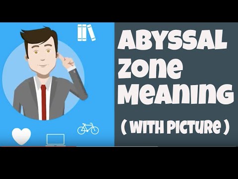 Abyssal Zone Meaning ( with pictures )