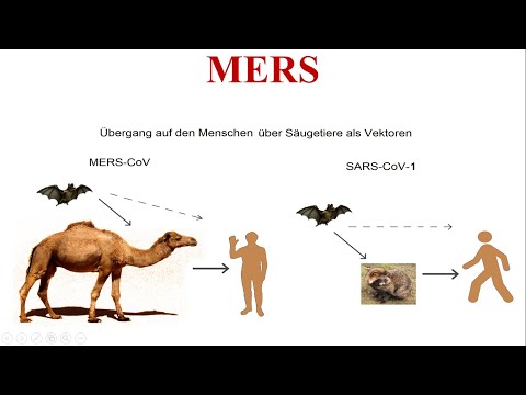 MERS || Middle East Respiratory Syndrome || MERS-CoV