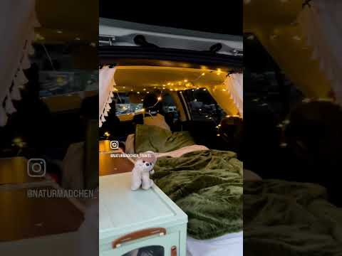 Camping in Subaru Outback in British Columbia on the way to the Arctic #subaruoutback #carcamping