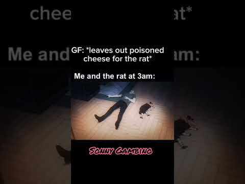#3am #3ammemes #dead #posion #rat #anime #animememes #meme #memes #funny #rats #cheese #rats #sonny