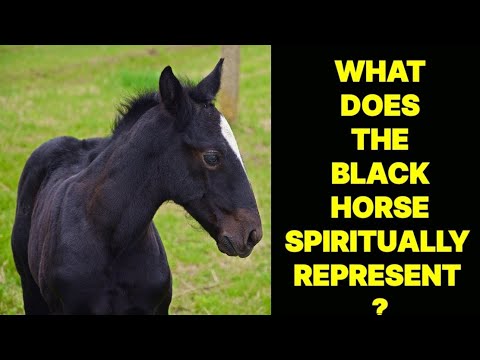 WHAT DOES THE BLACK HORSE ANIMAL SPIRITUALLY REPRESENT ?