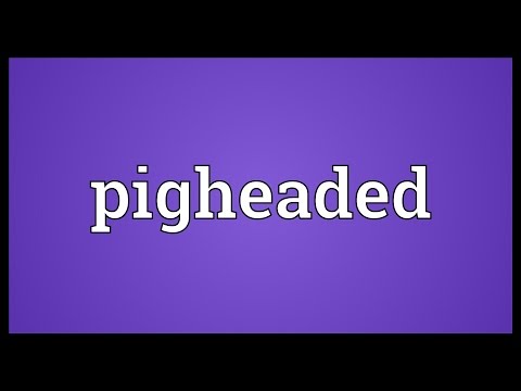 Pigheaded Meaning