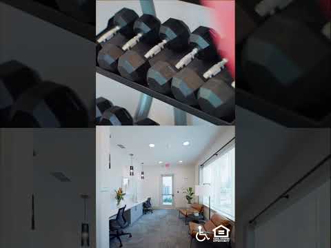Prose Park View (Social Amenities) | Tampa FL Apartments | Greystar