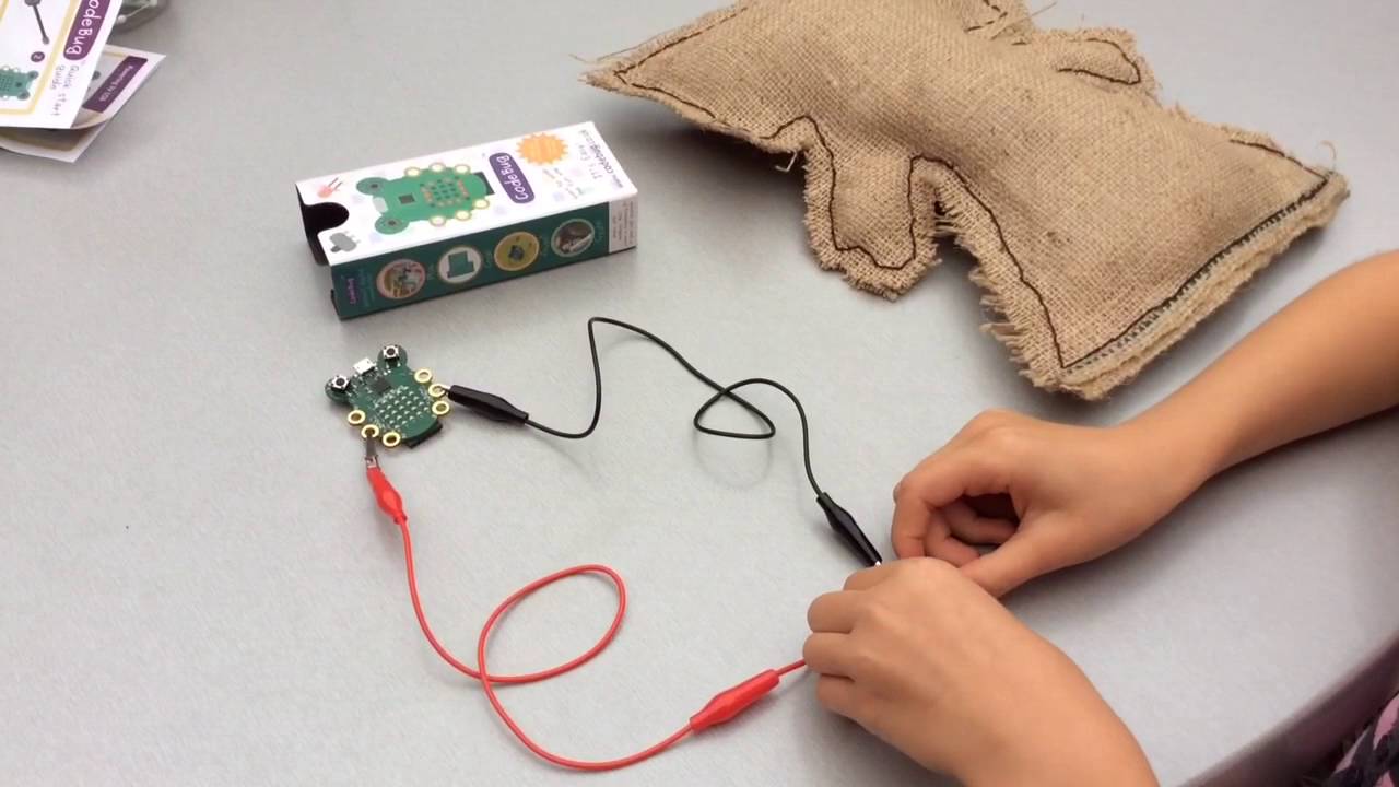Wearables with Codebug