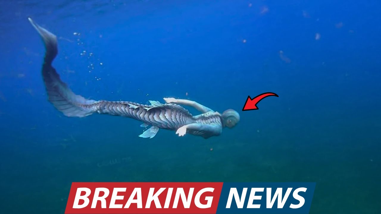Australian Drone Captured a Humanoid Creature in Deep Sea and What It Did Next Terrified Scientists