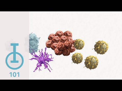 IOU Youtube: Chapter 3: How Does IO Work?