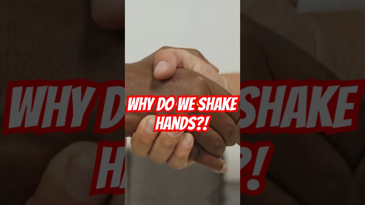 Why do we shake hands? The answer is here!