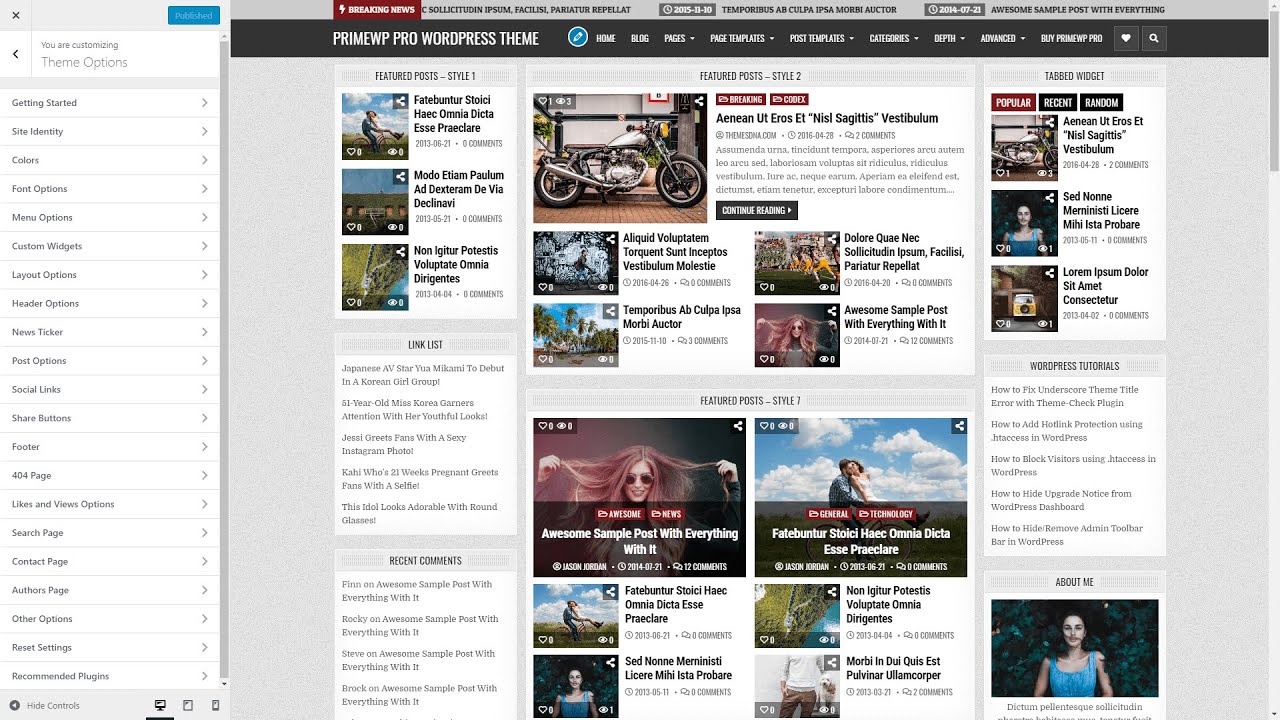 Customizer Theme Options - PrimeWP PRO WordPress Theme