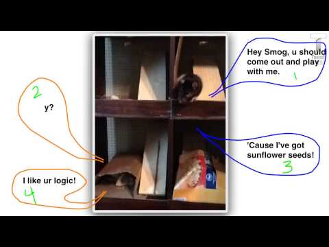 Rat Word: log (root word)