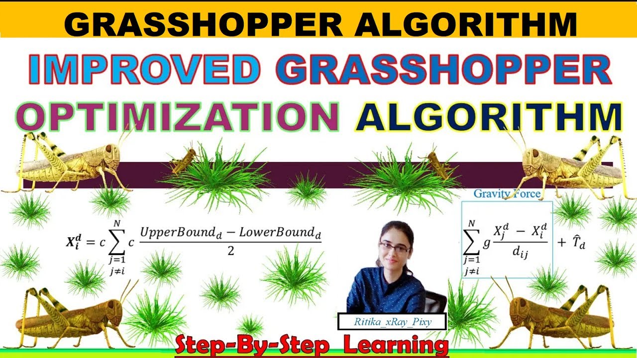 Improved Grasshopper Optimization Algorithm || STEP-BY-STEP || ~xRay Pixy