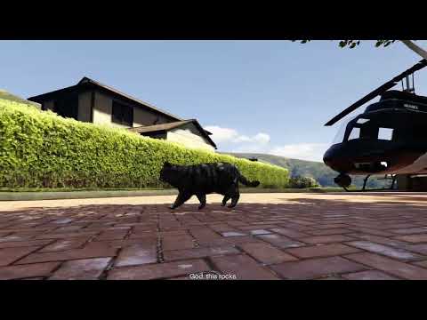 Steam Community :: Video :: Michael the Cat