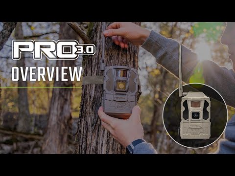 Tactacam REVEAL Pro 3.0 Cellular Trail Camera | Sportsman's Warehouse
