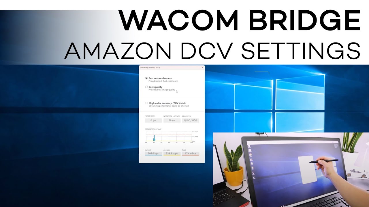 Wacom Bridge - Amazon DCV Settings