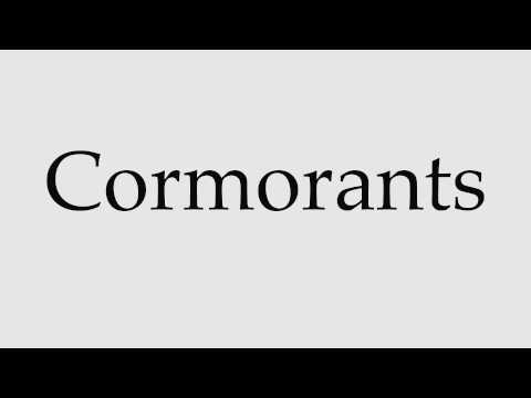 How to Pronounce Cormorants