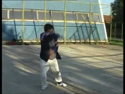 Whip Staff "Bian Gan" Applications by Master Guo Naihui | WFMAF.org