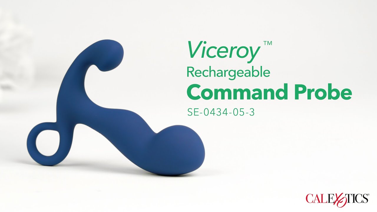 CalExotics Viceroy™ Rechargeable Command Probe