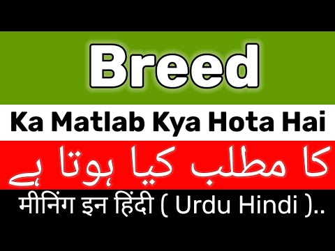 Breed Meaning | Breed Meaning In Urdu | Breed Ka Matlab Kya Hota Hai | Breed Ka Meaning Kya Hai