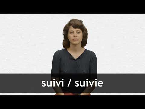 English Translation of “SUIVI” | Collins French-English Dictionary