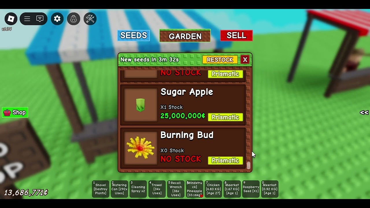 SUGAR APPLE IS IN STOCK!