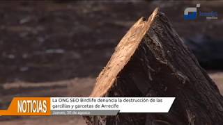 SEO Birdlife denuncia la perdida de la colonia de garzas junto al ...