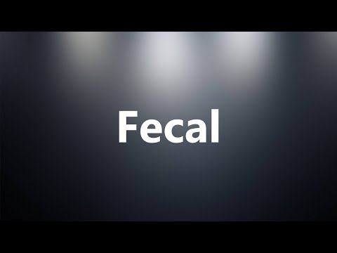 Fecal - Medical Meaning and Pronunciation
