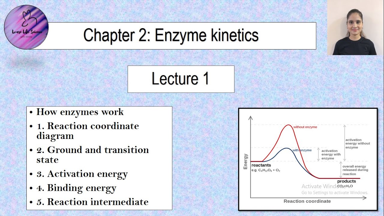 Chapter 2: Enzyme kinetics | Lecture 1