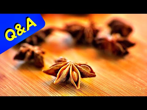 Anise Hyssop Herbs & More - Urban Garden (Q&A)