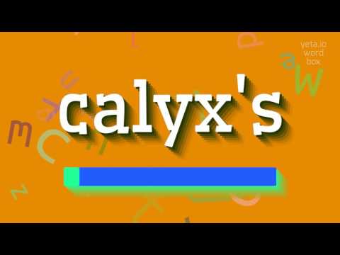 How to say "calyx's"! (High Quality Voices)