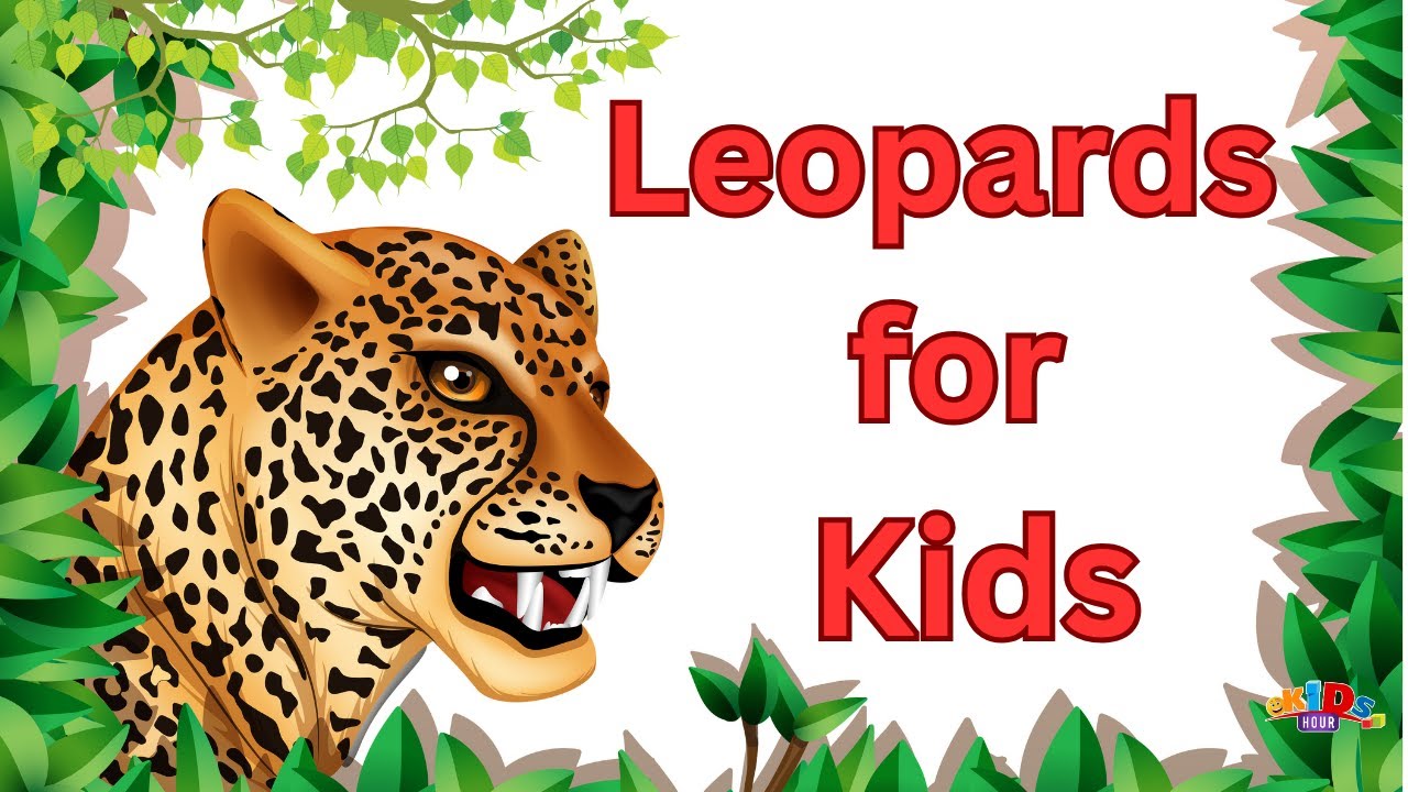 Leopards for Kids 🐆 | Fun Facts About Leopards | Kids Hour Animal Adventures
