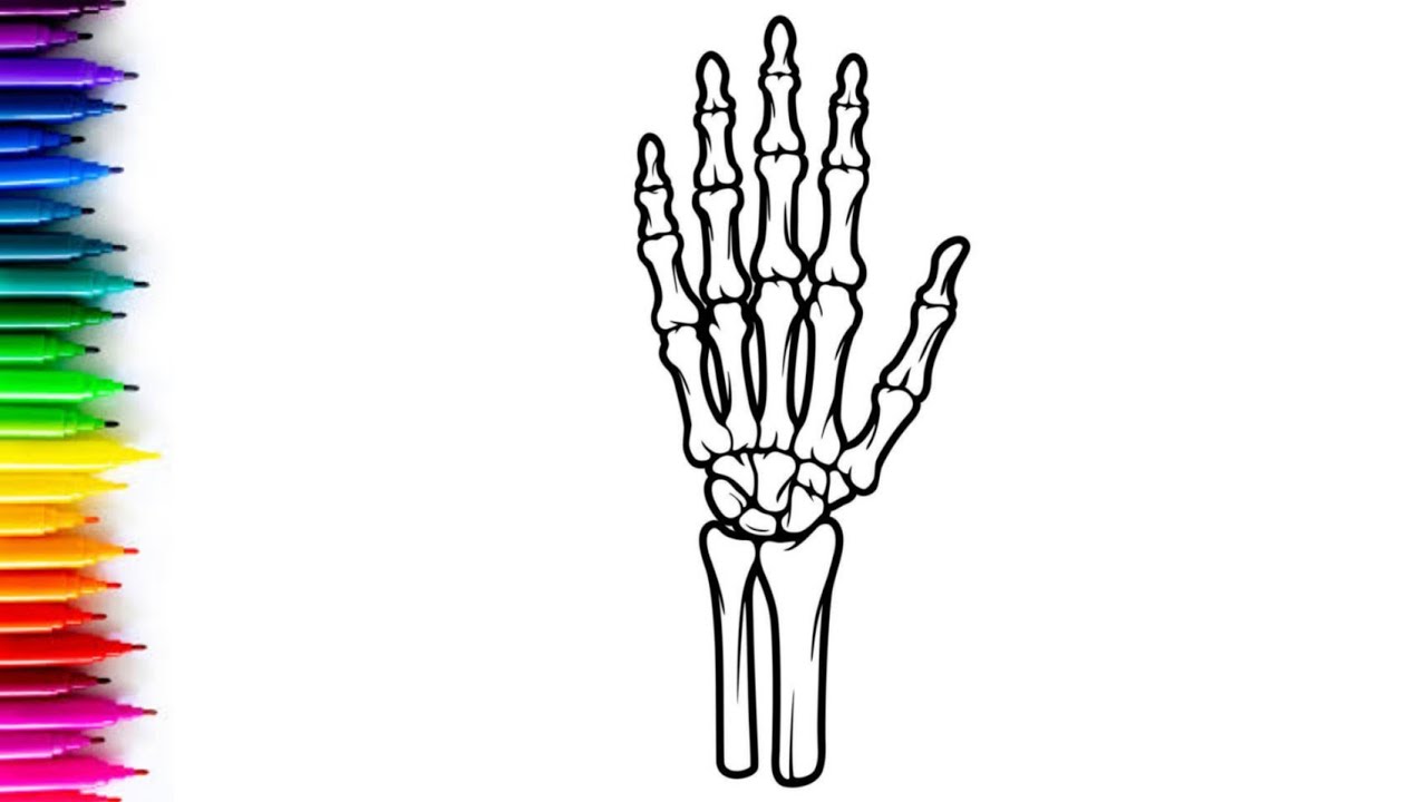 how to draw a skeleton hand | skeleton hand | skeleton hand drawing | skeleton