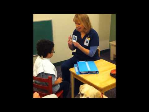 Devyn Building Sentences with Picture Exchange Communication (PEC)
