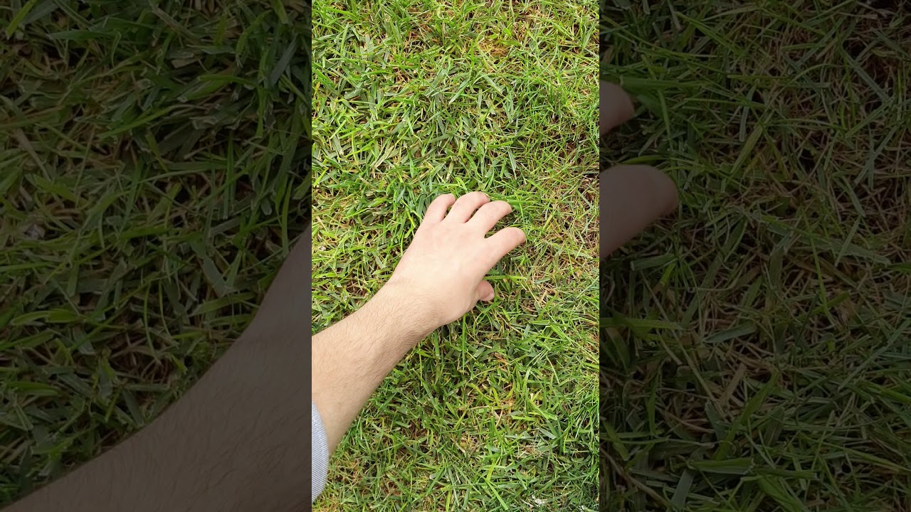 100 sub special, Touching grass (real)