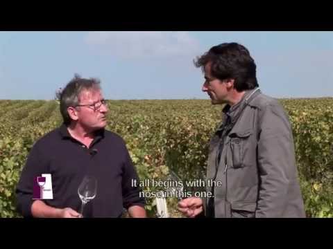 Understanding Loire Valley Sancerre with Alphonse Mellot