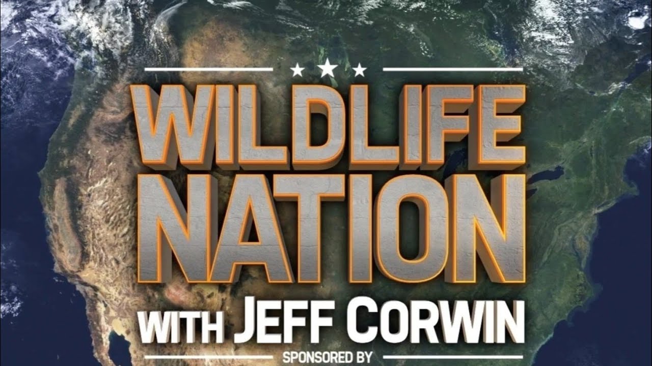 Wildlife Nation With Jeff Corwin - California Critters