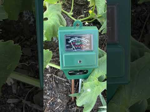 How To Adjust Soil pH