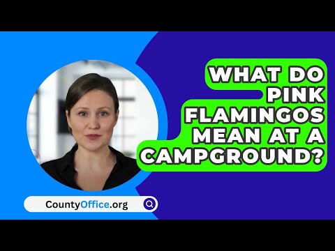 What Do Pink Flamingos Mean At A Campground? - CountyOffice.org