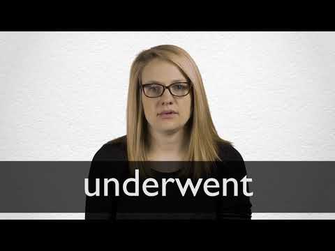 UNDERWENT definition and meaning | Collins English Dictionary