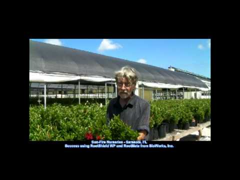 Plant Production Success with RootShield & RootMate