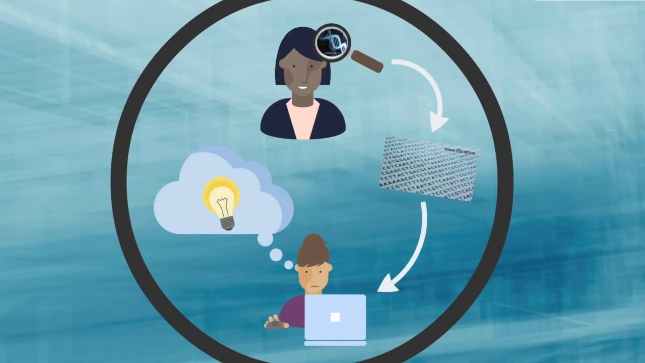 Simplifying Bioinformatics Workflows