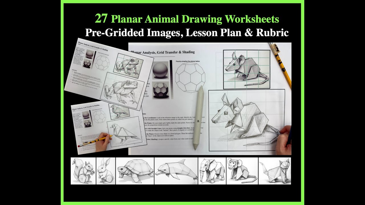 Planar Animal Drawing Worksheets / Grid Drawing & Value Shading Art Lesson.