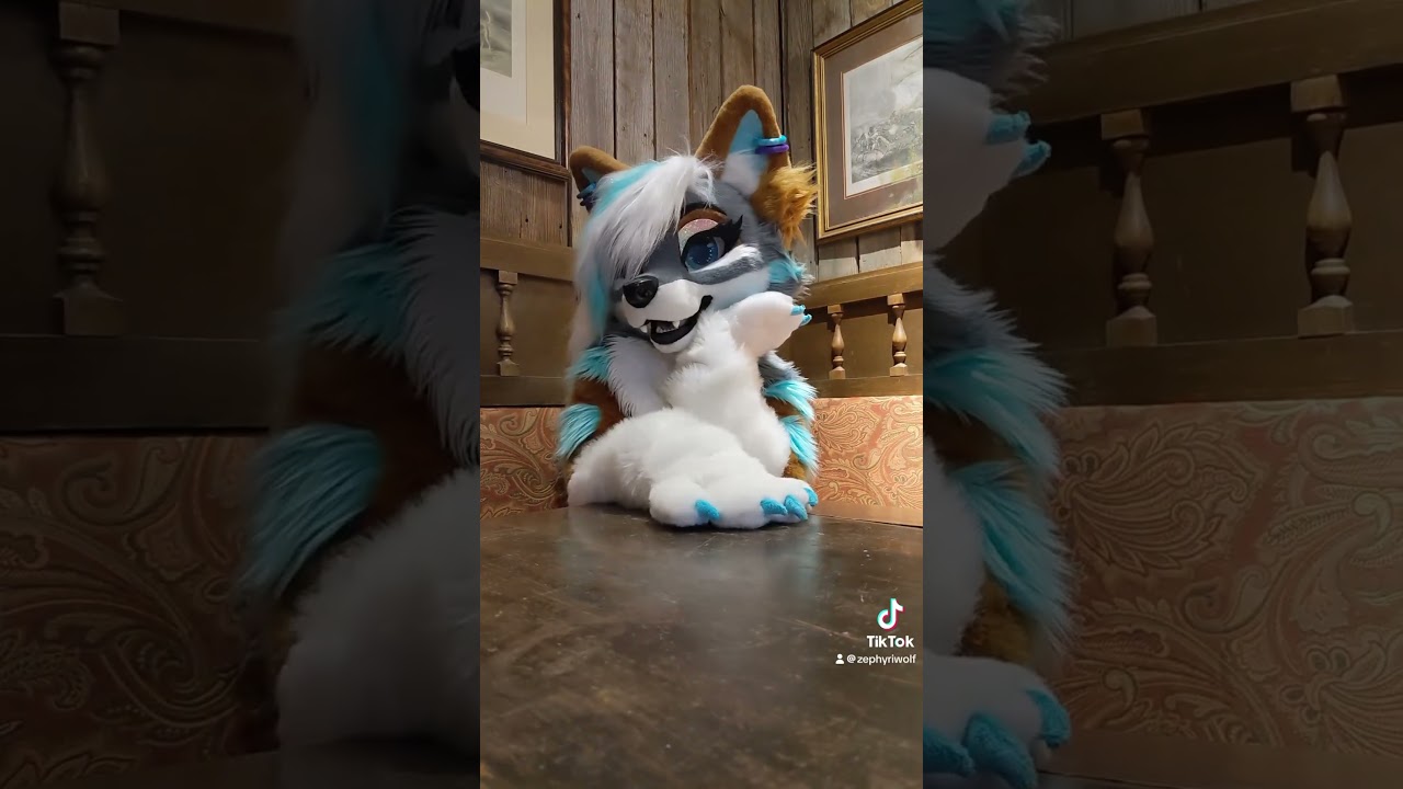 Come take a seat. #furry #furries #fursuit (zephyrwolf on Instagram)