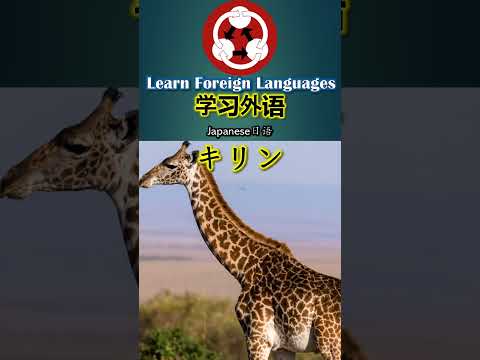Animals 动物 How to say giraffe in Japanese #shorts #howtopronounce #foreignlanguage #animals #giraffe