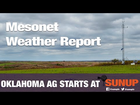 Mesonet Weather (4/10/21)