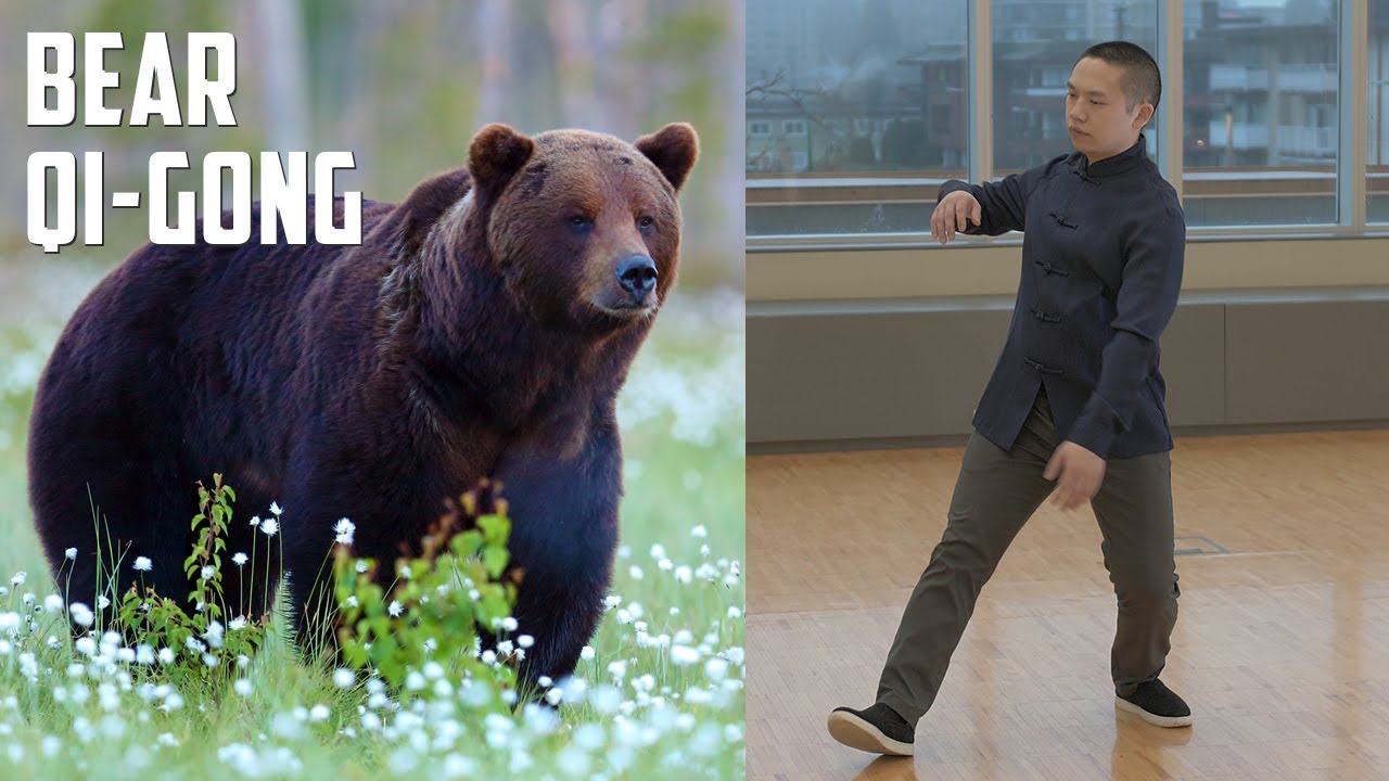 The Five Animals Qi Gong – Exercises that Strengthen Your Mind and Body