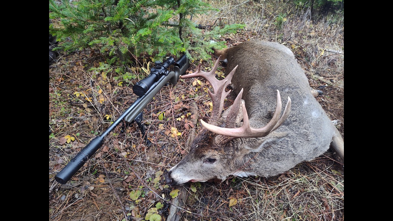 Hunter's 2025 Idaho Mountain Whitetail