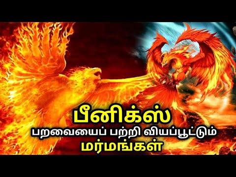 பீனிக்ஸ் பறவை பற்றின வியப்பூட்டும் தகவல்கள் | Phoneix Bird Unknown Mythology | Talkslogist | Tamil