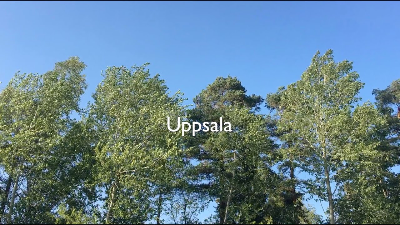 First Month of Uppsala Exchange Life