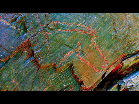 Paleolithic Petroglyphs - Siega Verde - Spain