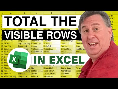 Excel How To Sum Only Visible Cells When Filtering In Excel - Episode 350
