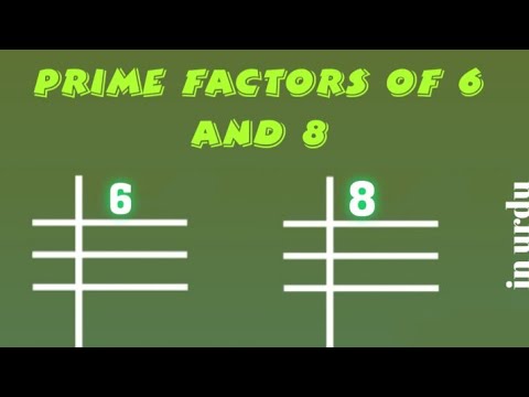Prime Factors of 6 and 8 - Prime Factorization